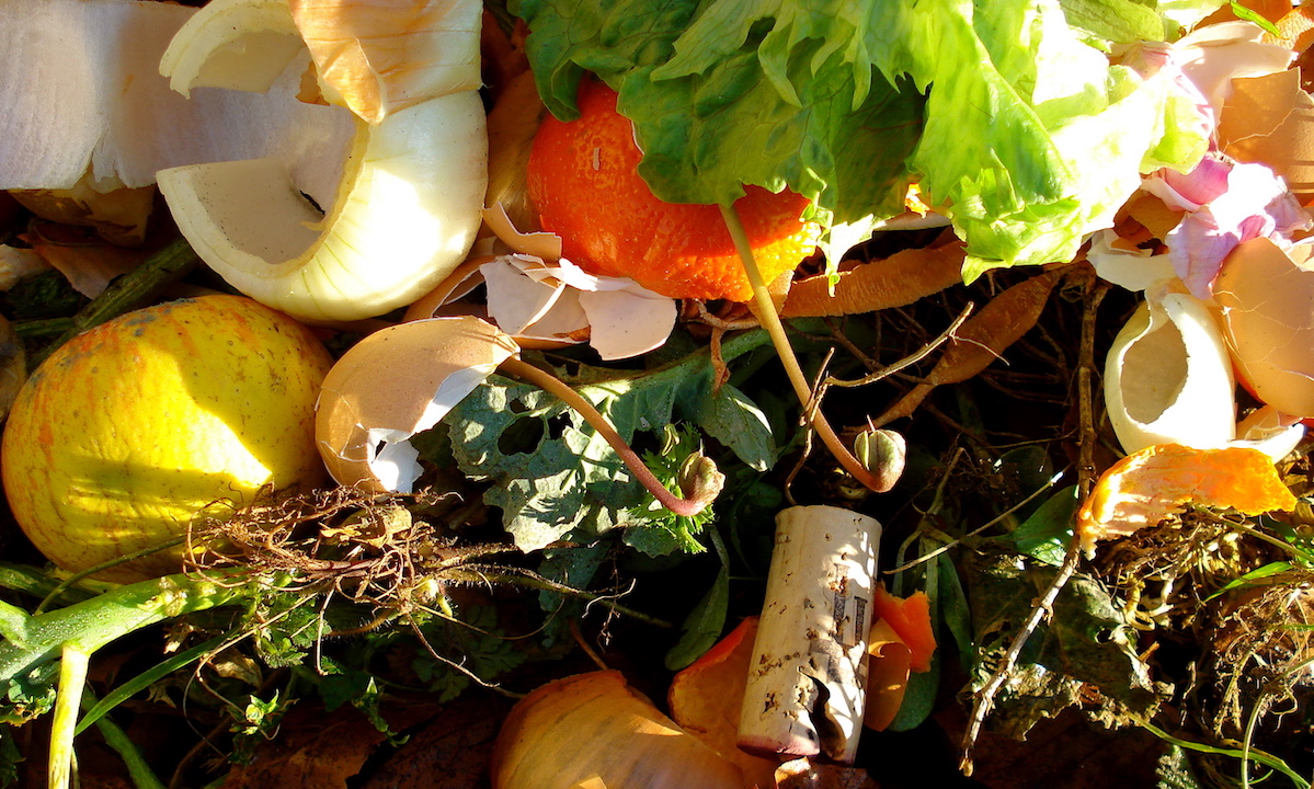 Recycle Review Organic Waste